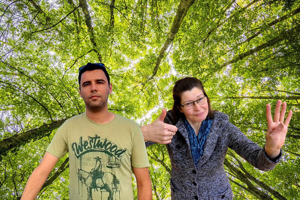 Want to help build the forests of the future? Take up tree planting ...